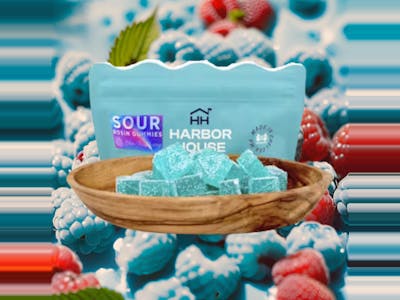 Harbor House Collective Hash Rosin Gummies | Sour Blue Raspberry | 20pk ...